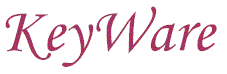 KeyWare Login